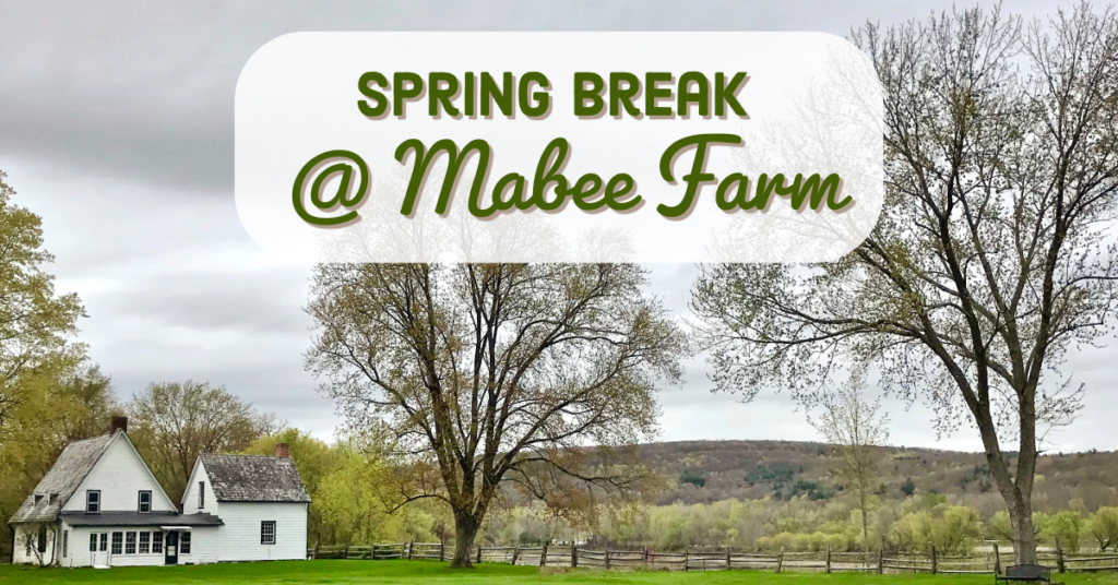 Schenectady County Historical Society | Spring Break at Mabee Farm