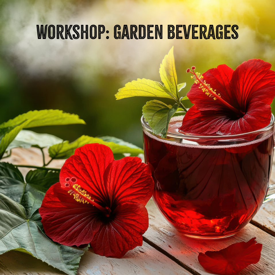 Museum & Library - Schenectady County Historical Society